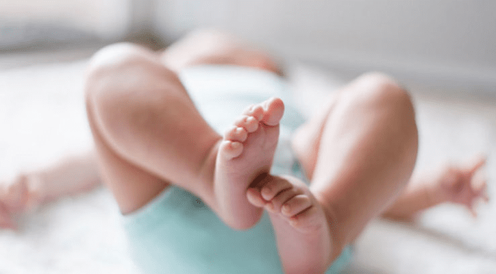 The Best Teddies for Newborn Babies | Toy Street