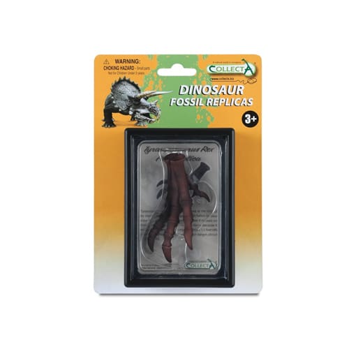 Foot Replica Of T-Rex In Display Case | Toys | Toy Street UK