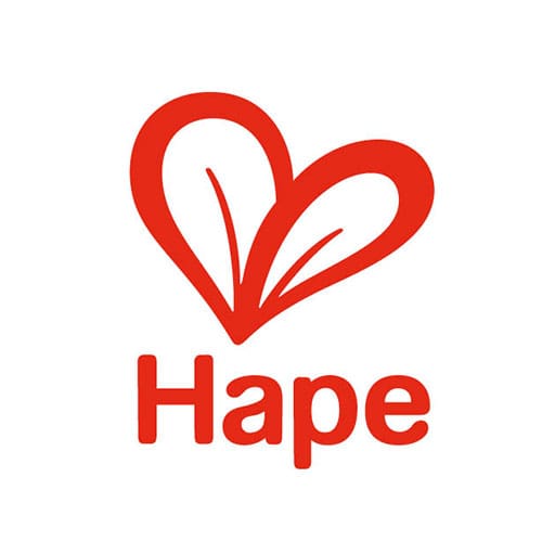 Hape | Toy Street